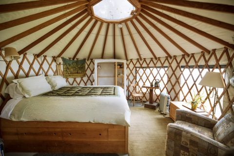Deluxe Yurt Retreat in Beautiful Haines Alaska - Chilkat Inlet Retreat